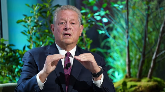 Al Gore Comments on Trump Admin Policy – Red Right Daily